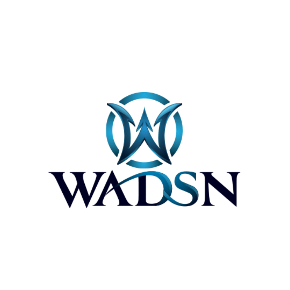 WADSN Laser Aiming Modules and Tactical Accessories – Good Nite Gear