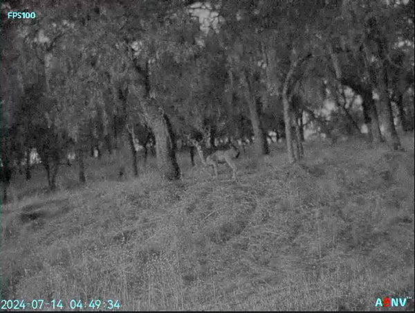 ADNV-G14SE Advanced Digital Night Vision Monocular – Good Nite Gear